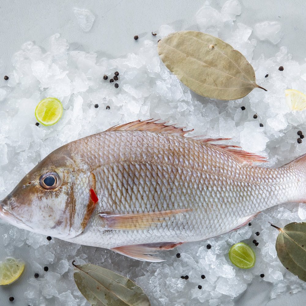 Barramundi Fillet (Modha) Skin On (1 Kg) – Fresh Harvest