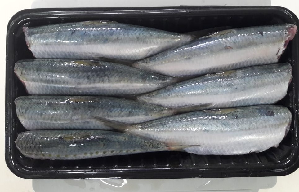 Hurulla H&G (Headless & Gutted) (500 g) – Fresh Harvest