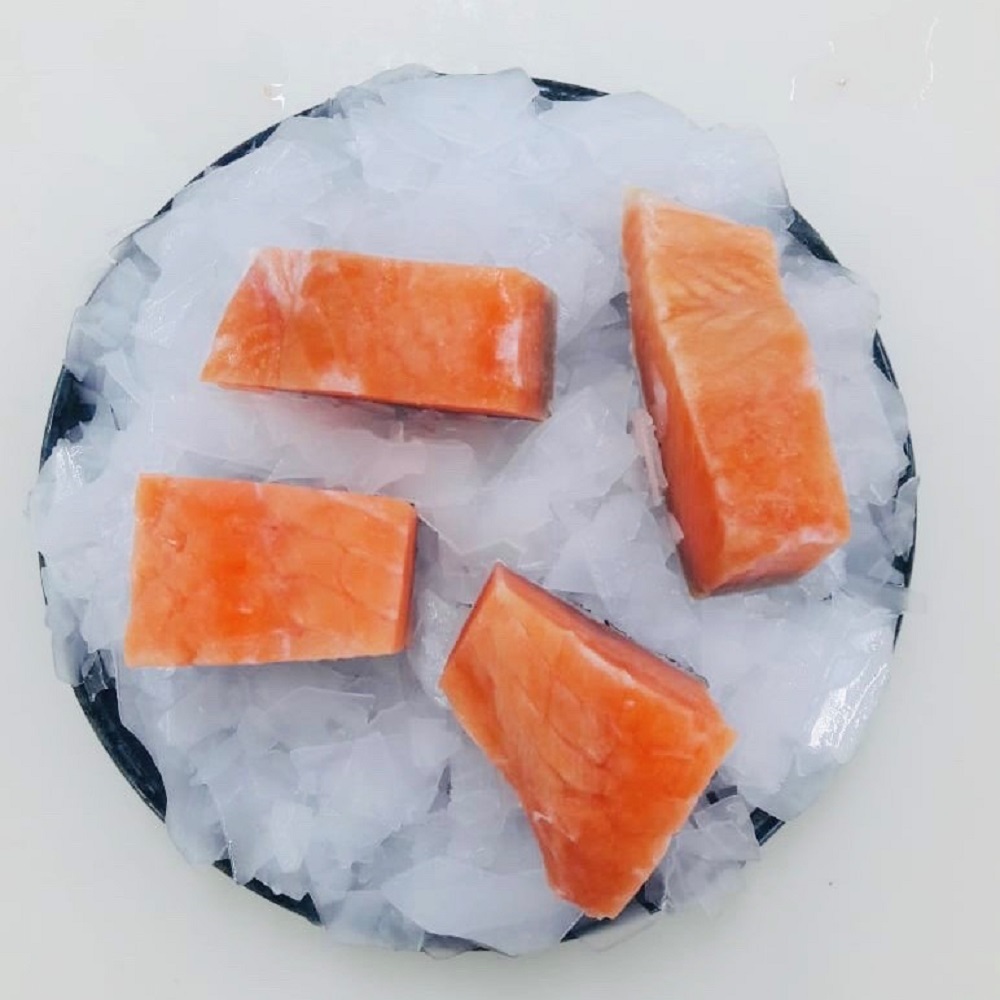 Salmon Small Portions Value Pack (500 g) – Fresh Harvest